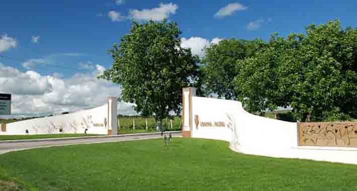 Obiective turistice Murfatlar , de vizitat in Murfatlar , Romania