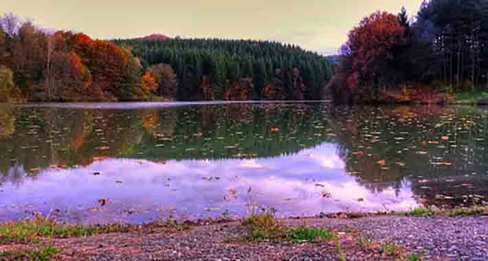 Obiective turistice Targu Lapus, de vizitat in Targu Lapus, Romania